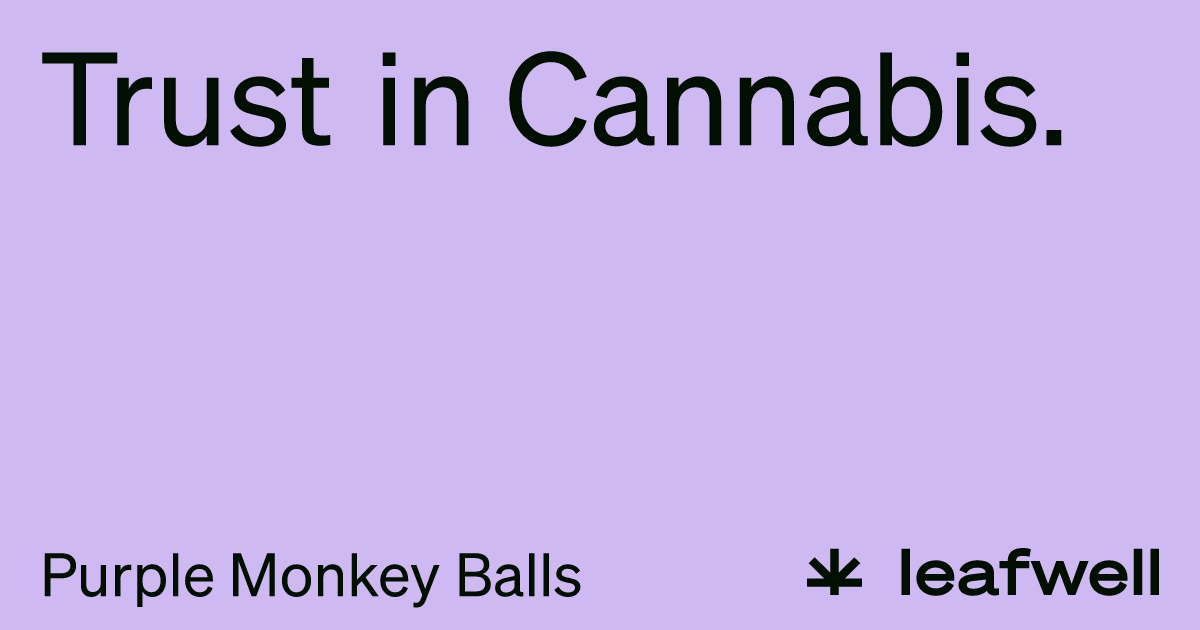 Purple Monkey Balls Marijuana Strain, AKA Deep Purple - Leafwell